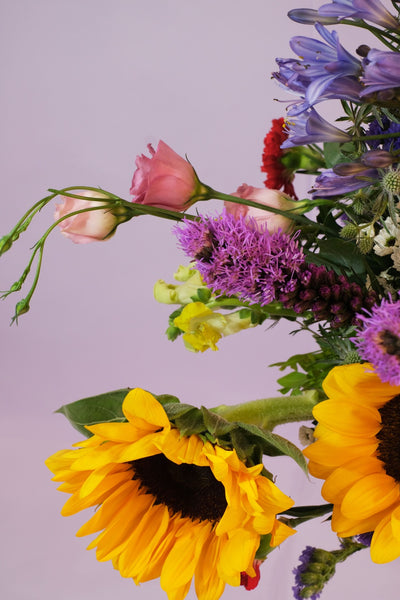 Color Bomb – farmerr.in