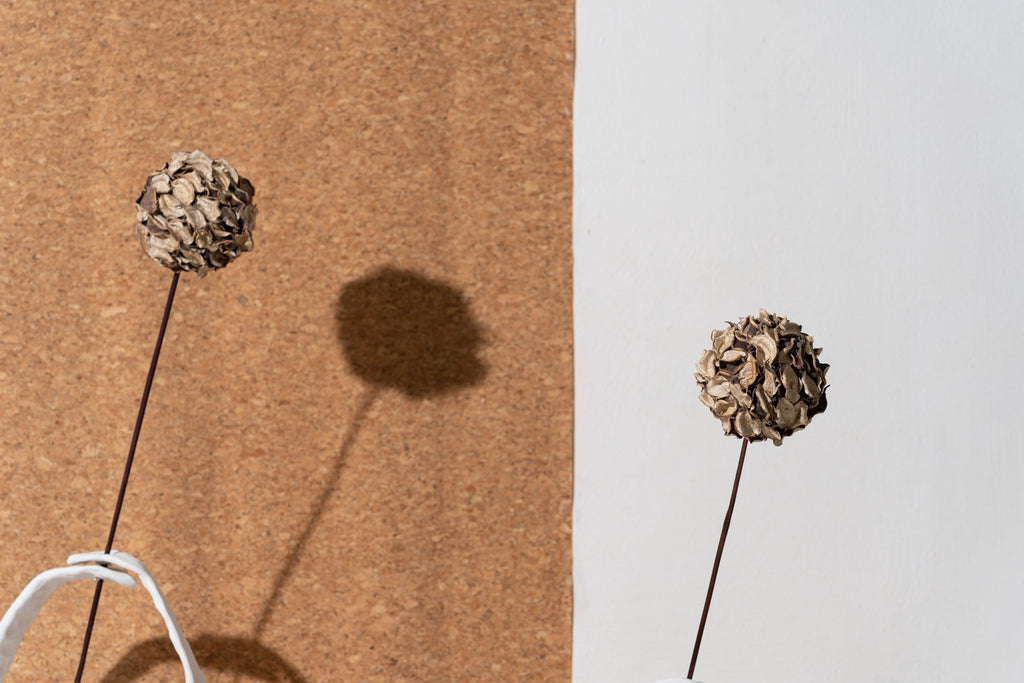 Potpourri Ball (Bunch of 3 stems) – farmerr.in