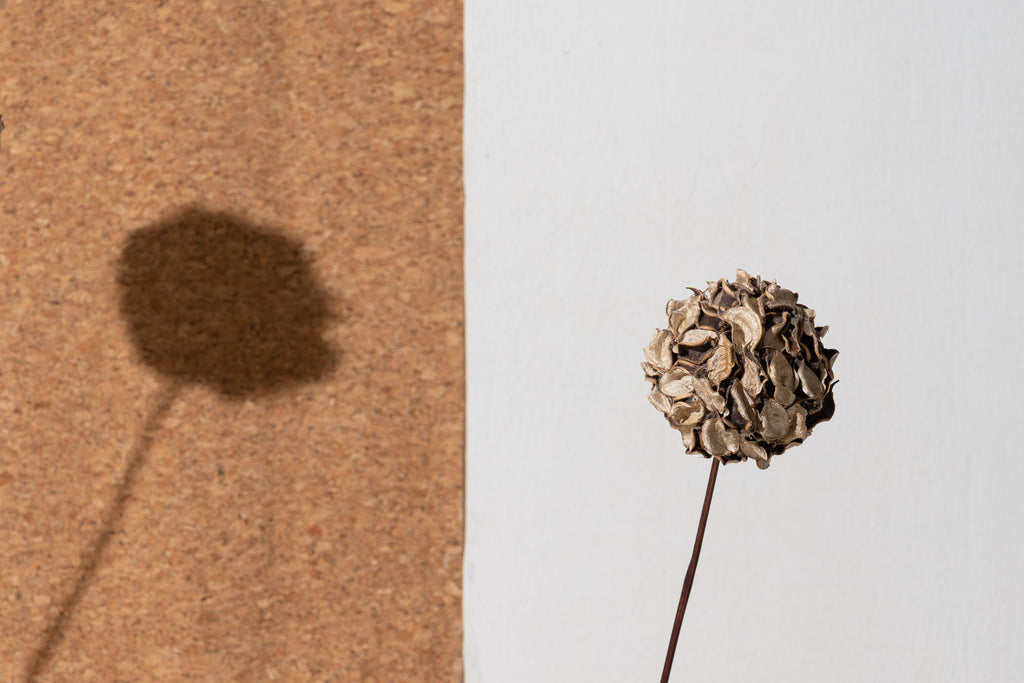 Potpourri Ball (Bunch of 3 stems) – farmerr.in