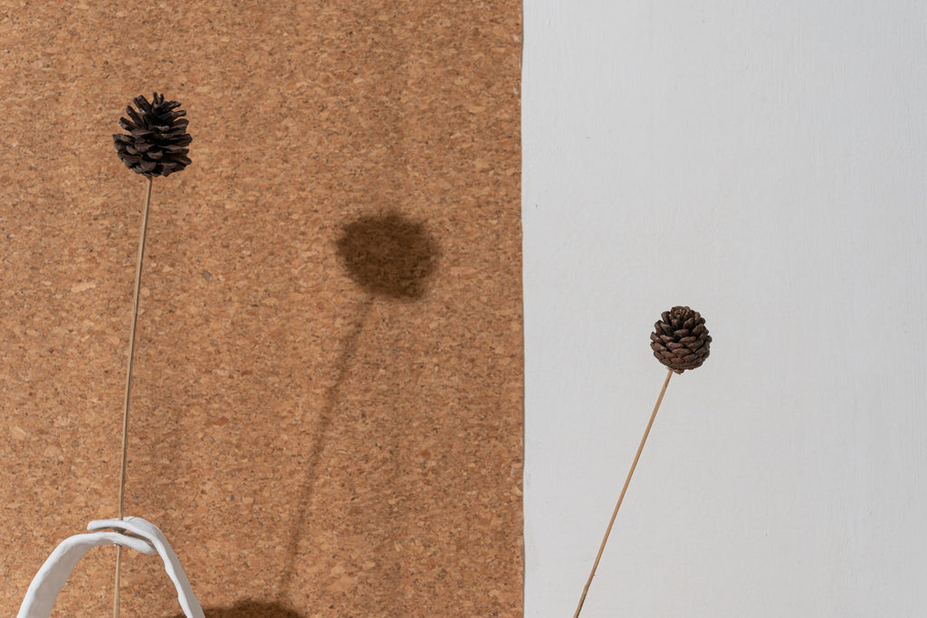 Round Pine cone (Bunch of 5 stems) – farmerr.in